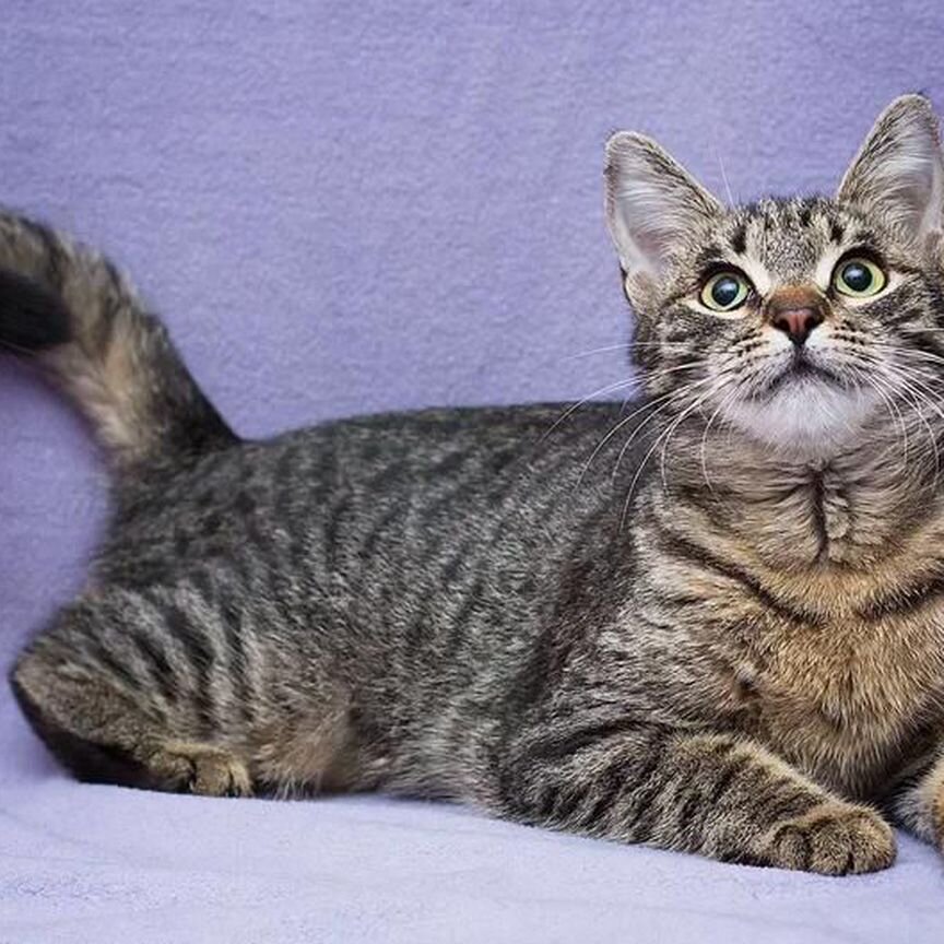 Ласковая Незабудка очень ждёт семью