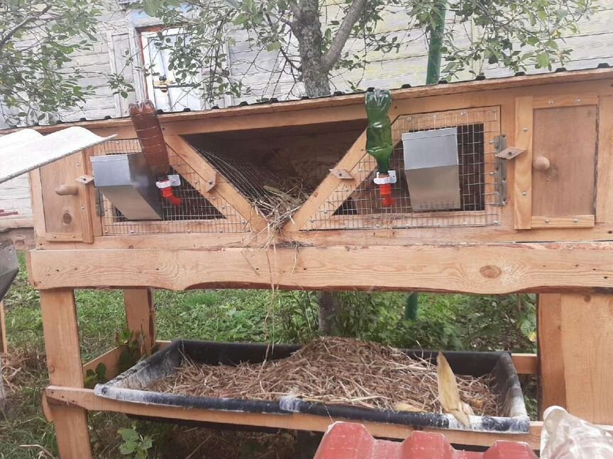Клетка для кролика