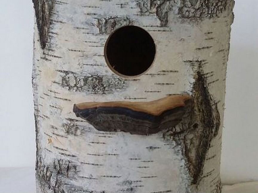 Бельчатник "Кузя"