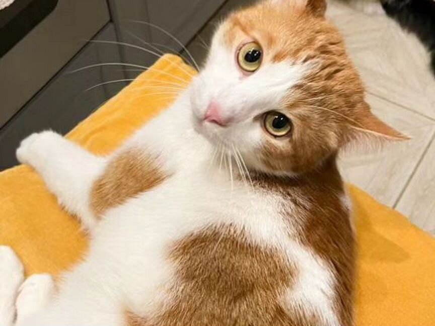 Маркуса никто не замечает