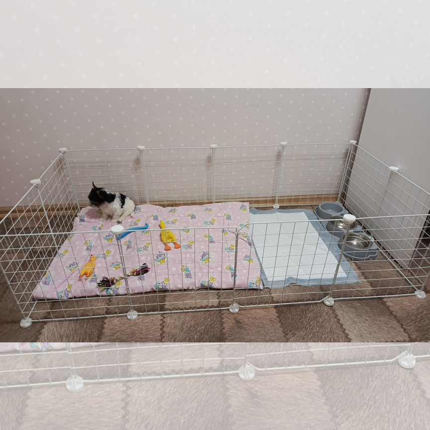 Вольер для щенка, мелкой собаки