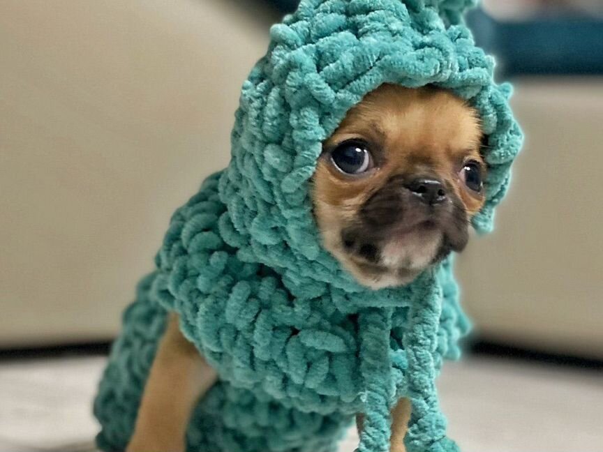 Модный конкретный парень )