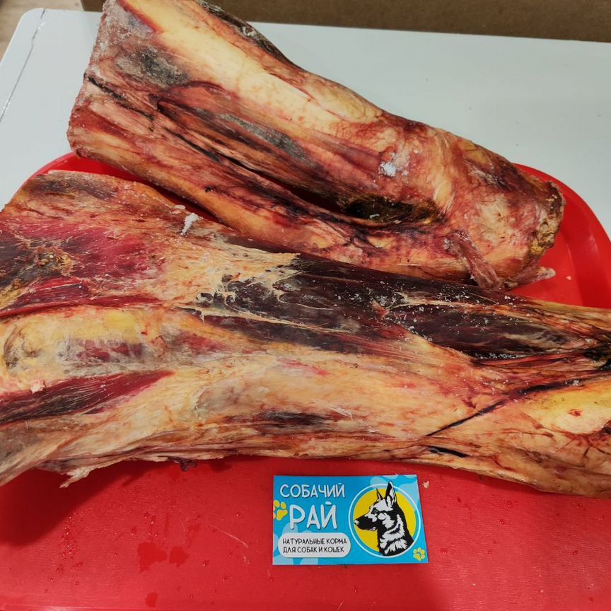 Голень говядина для собак