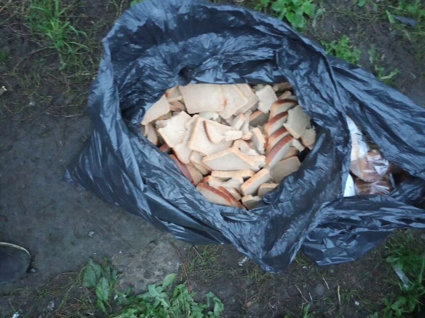 Хлеб на корм животным