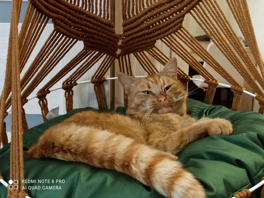Лежанка для кошек