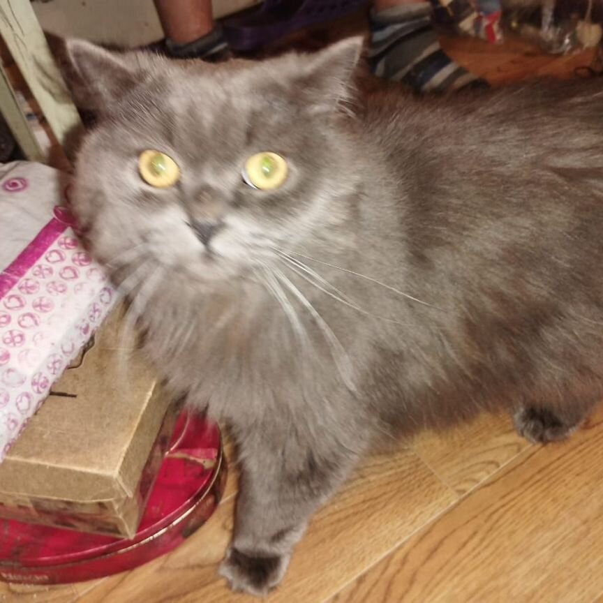 У них осталось три дня