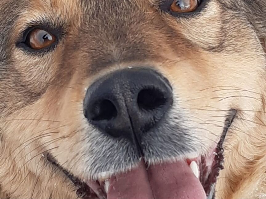 Супер-Другу нужен супер-человек