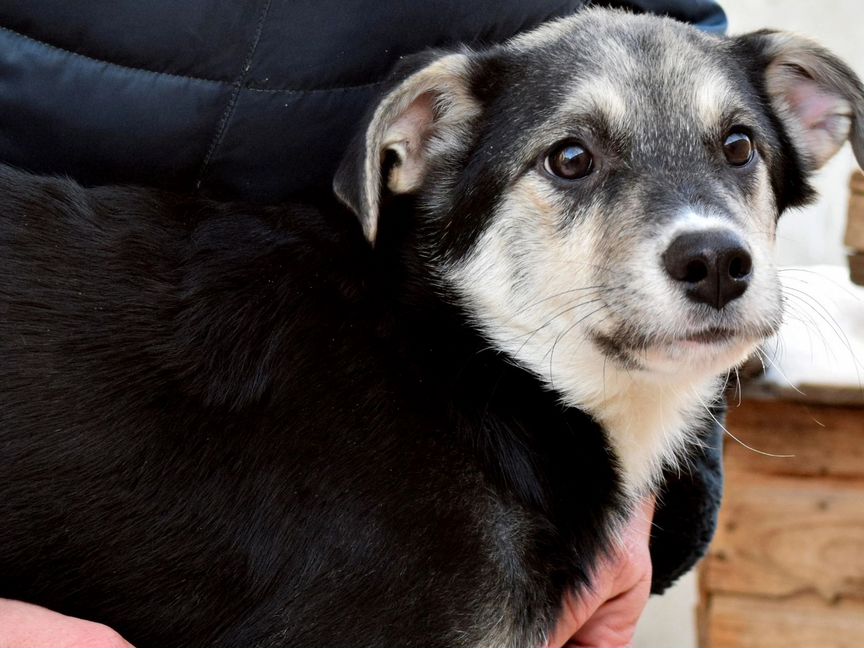 Станьте солнцем для Луны)