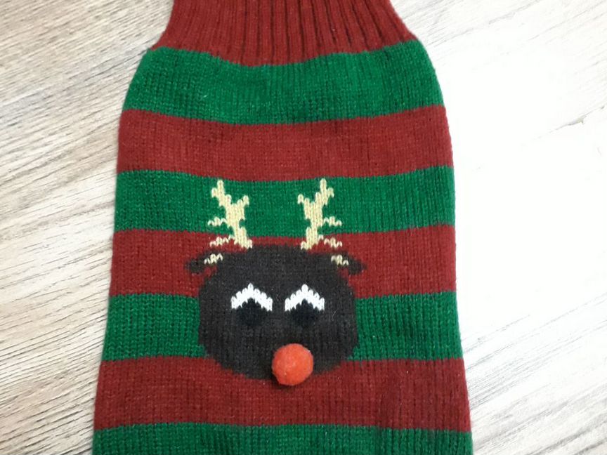 Одежда для животных