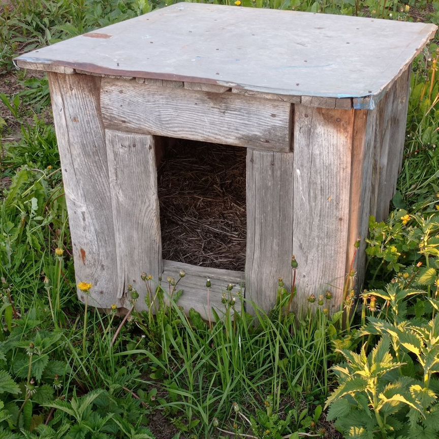 Собачья конура