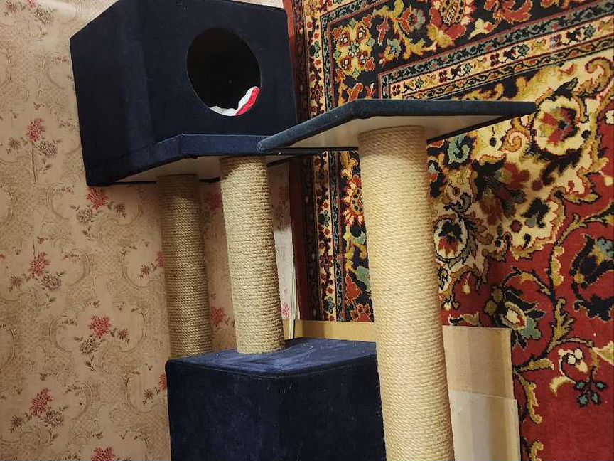 Игровой комплекс для кошек с домиком новый