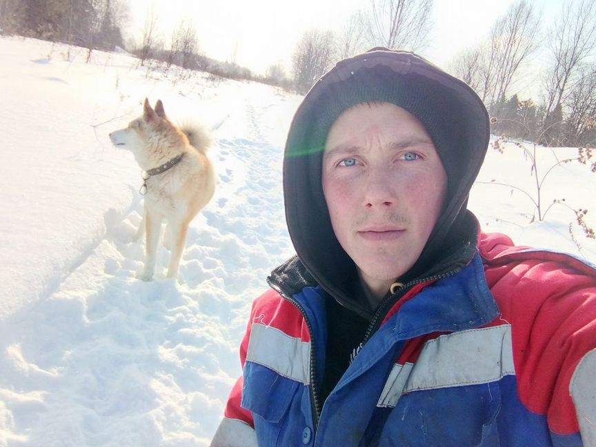 Русско европейская лайка