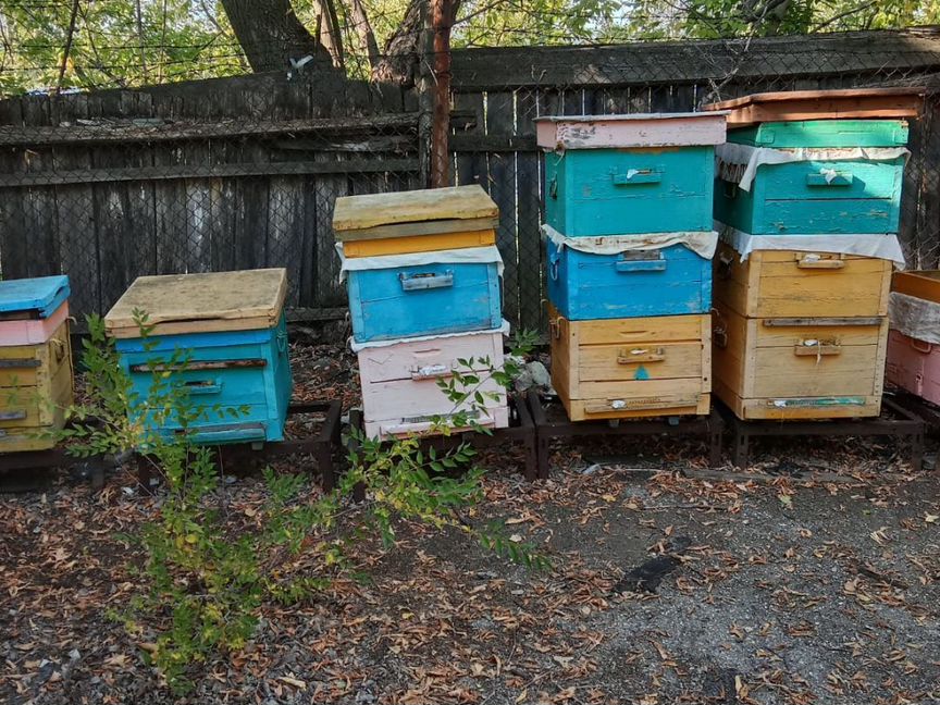 Улей для пчел. Цена договорная