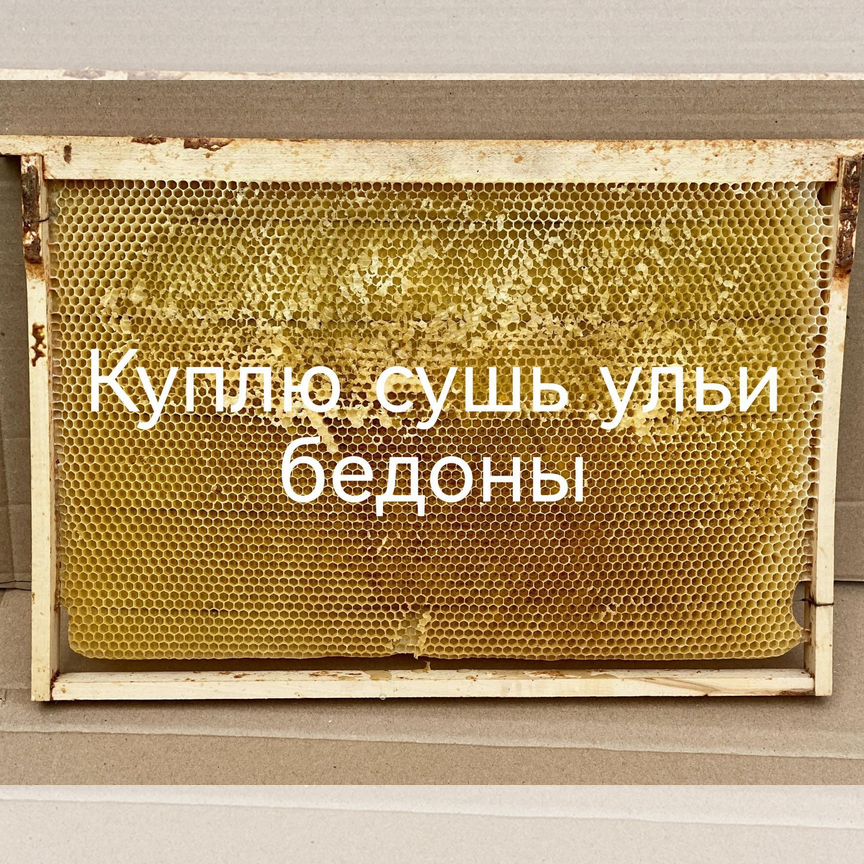 Пчелоинвентарь сущь