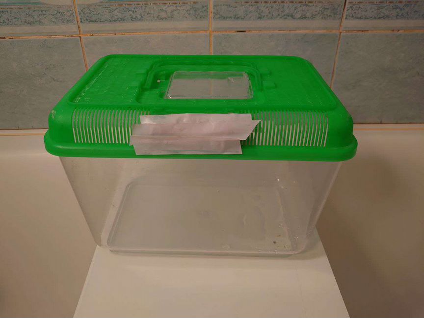 Террариум-переноска пластиковый 20х30