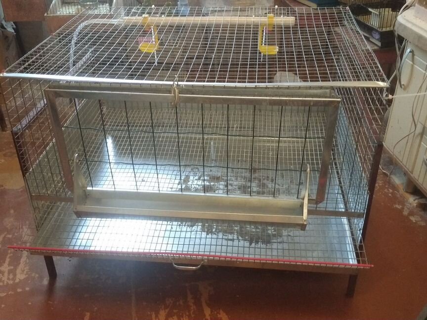 Клетка для кур