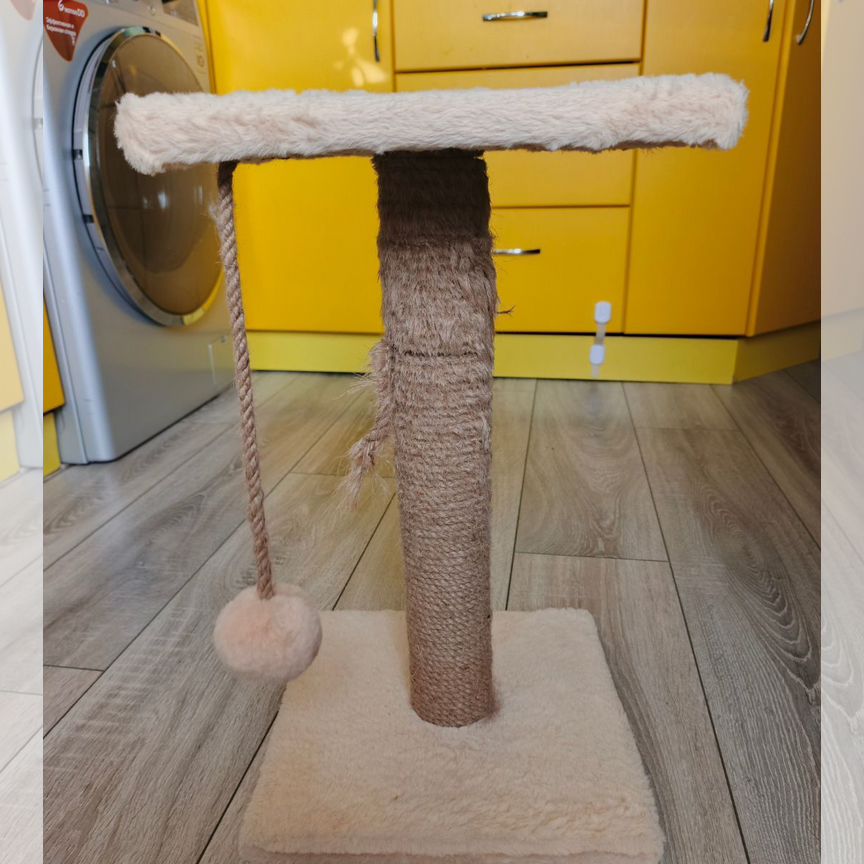 Когтеточка