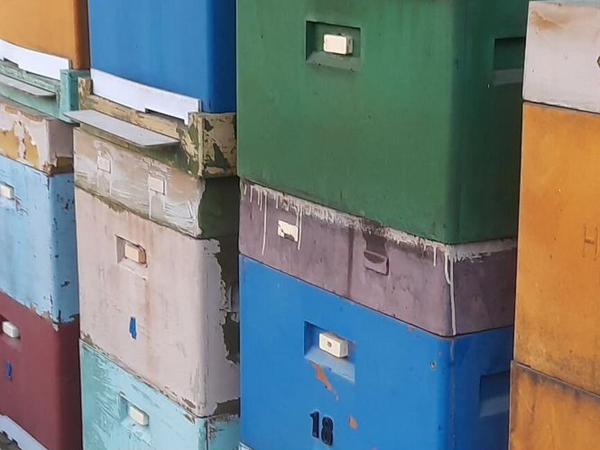 Улей для пчел бу