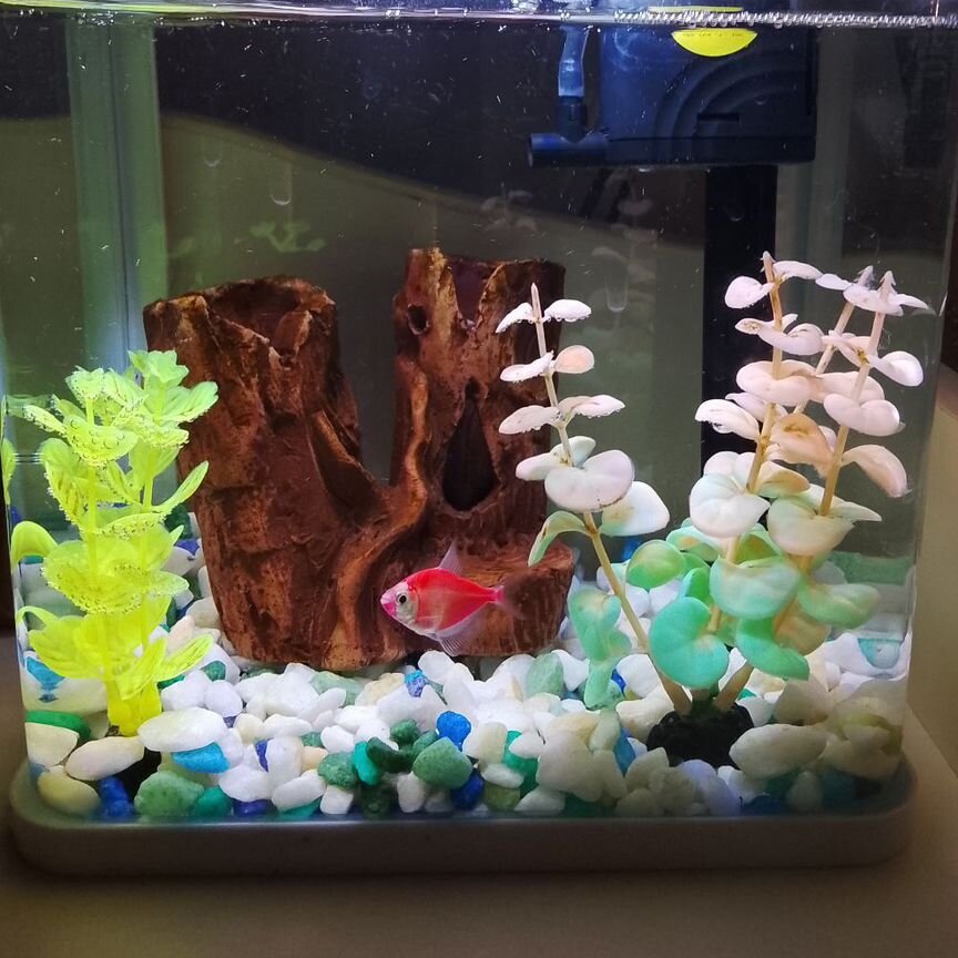 Аквариум 5 литров