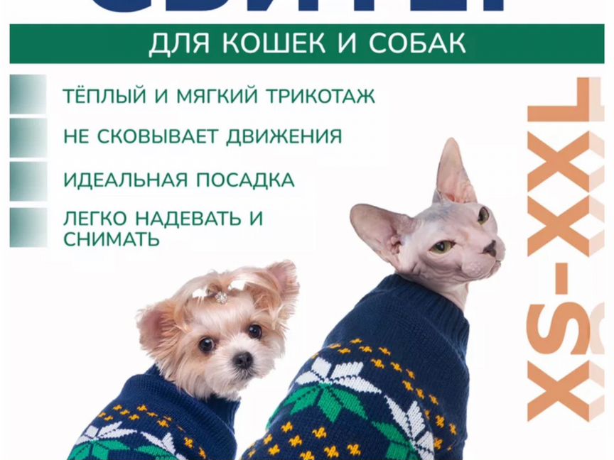 Одежда для котят и маленьких собак