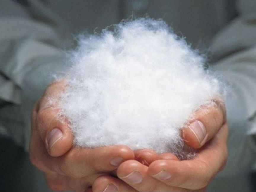 Альпакпух гусиный