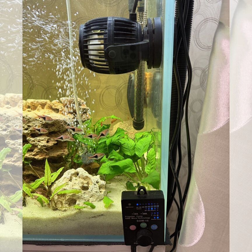 Вихревая помпа