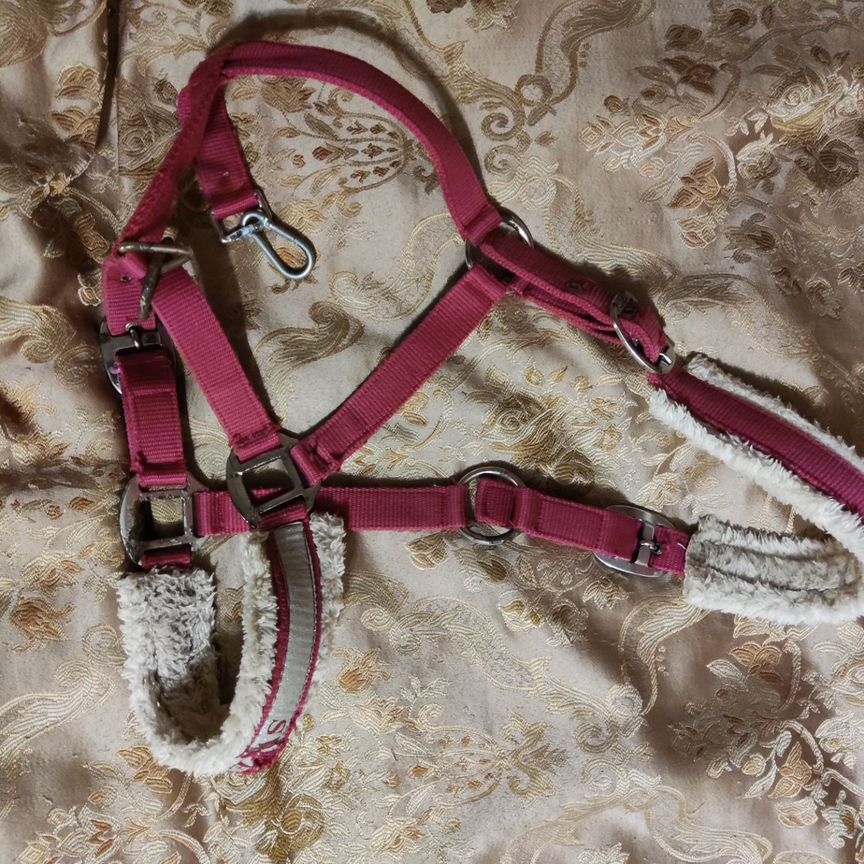 Недоуздок для лошади cob 4 штуки