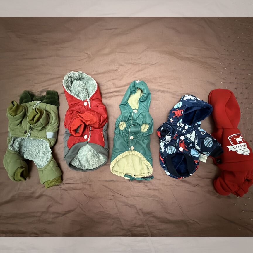 Одежда для маленьких собак чихуахуа