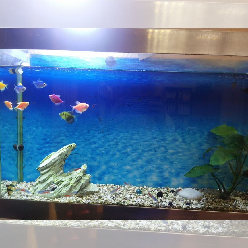 Аквариум настенный, 40 литров