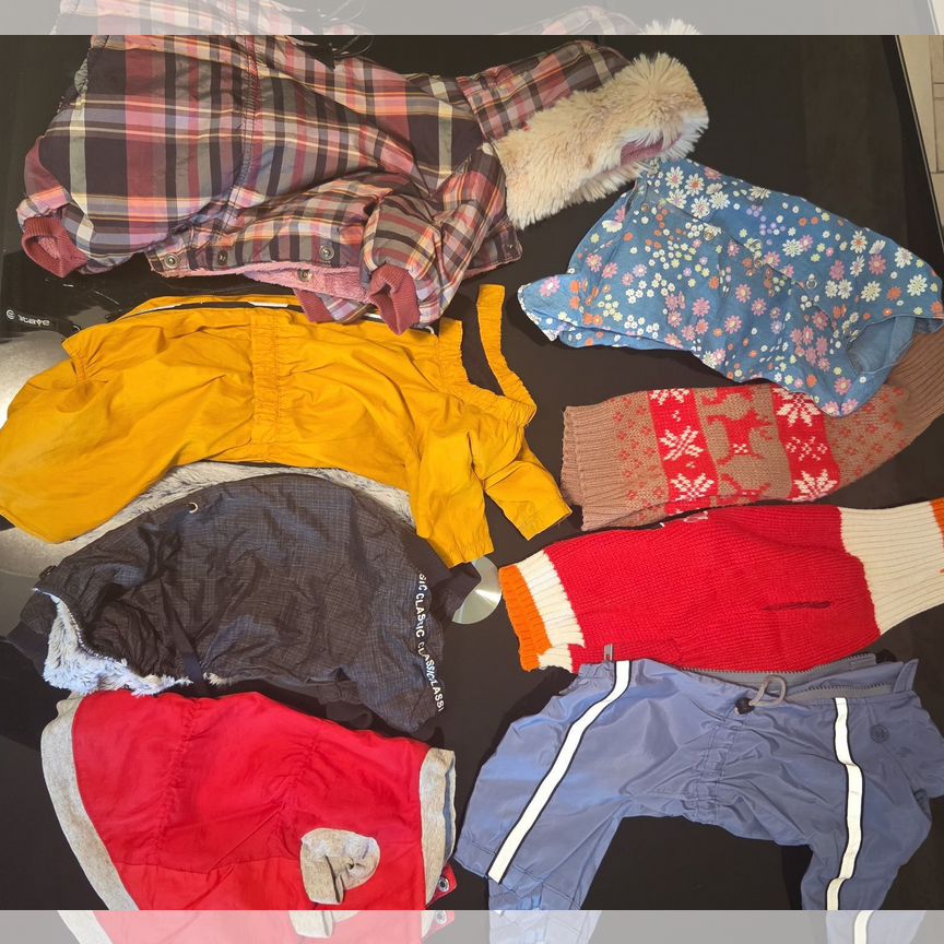 Одежда для собак мелких пород бу