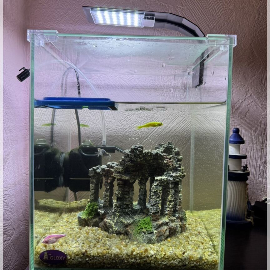 Аквариум с рыбками
