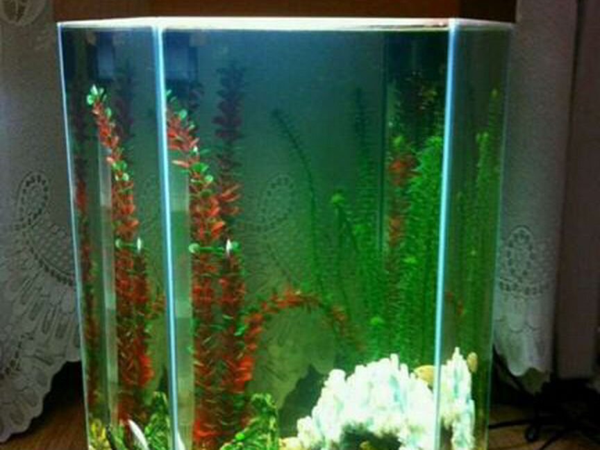 Аквариум для рыбок