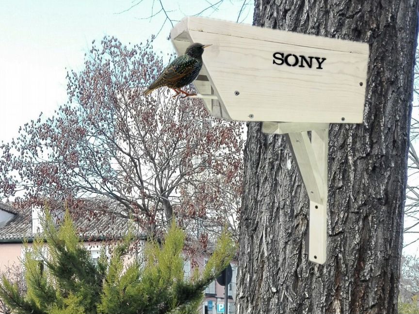 Скворечники для птиц