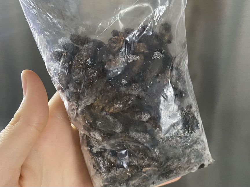 Замороженные сверчки