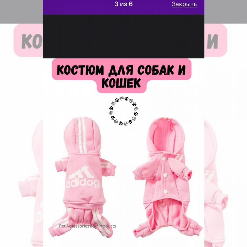 Костюм для собаки