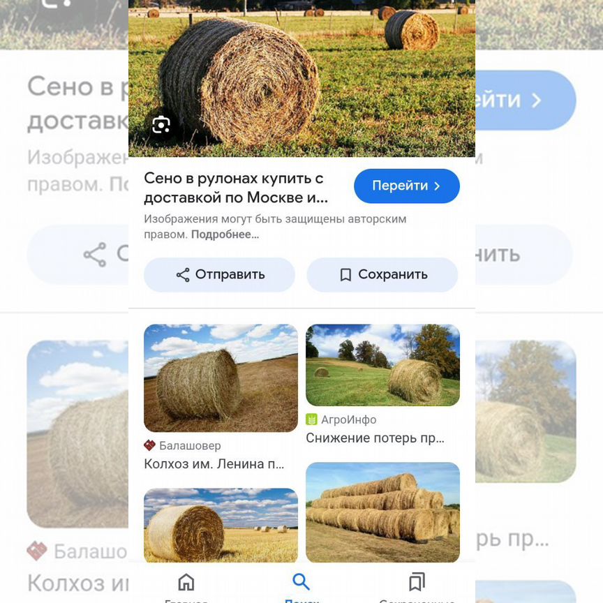 Продам сено луговое с экспарцетом