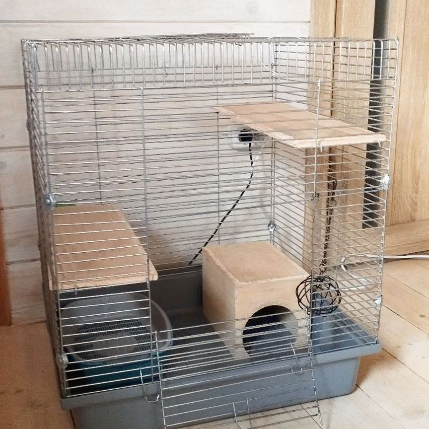 Клетка