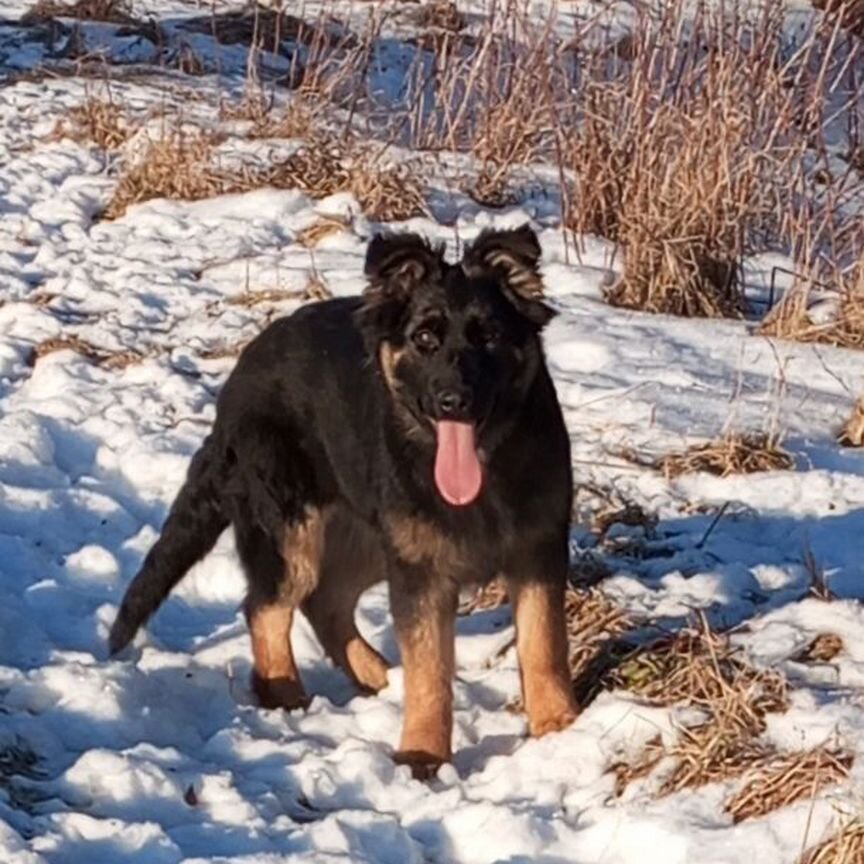 Д/ш девочка 5 месяцев