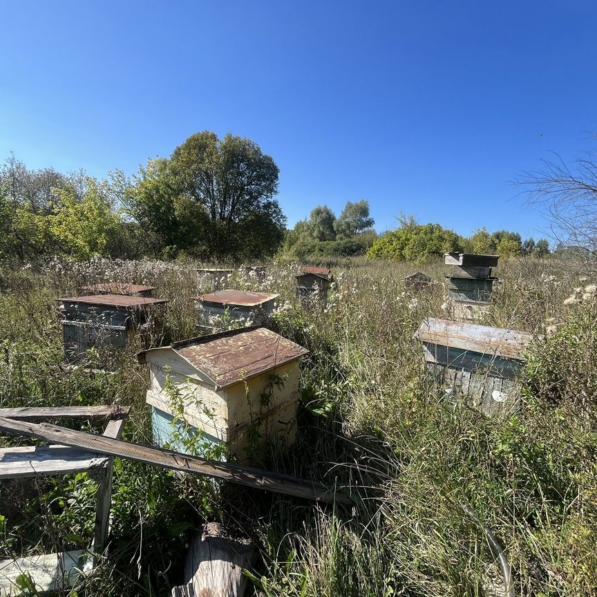 Продам ульи для пчел