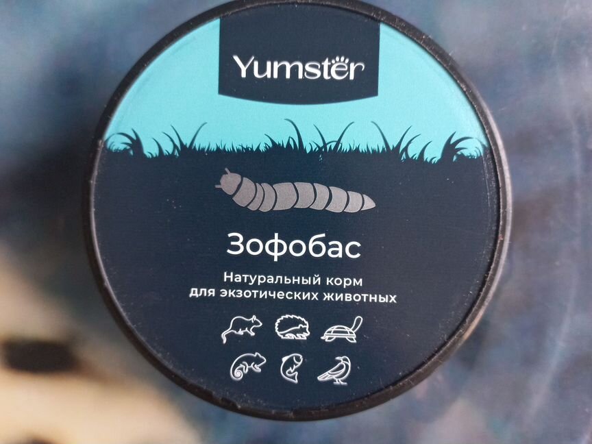 Натуральный корм для птиц и рептилий
