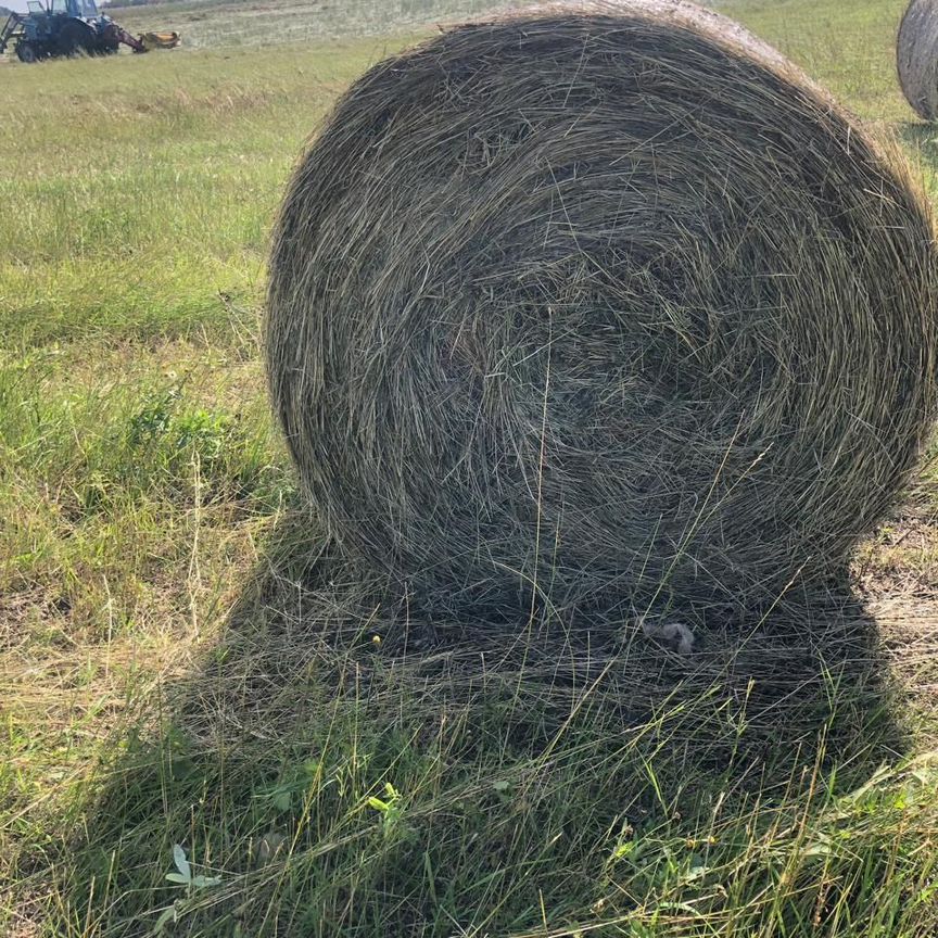 Продам сено в рулонах и солома
