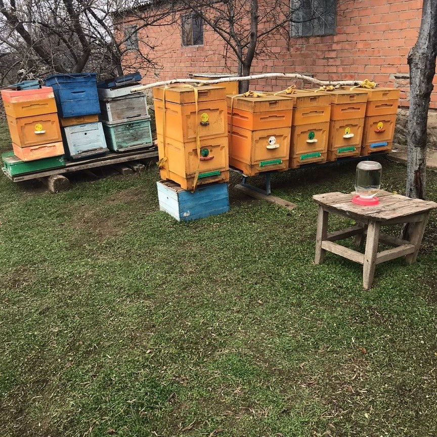 Пчело пакет