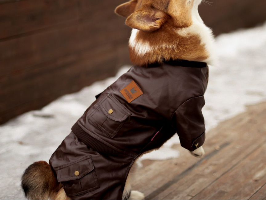 Кожаный комбенизон для собаки