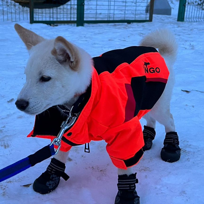 Куртка на молнии для собак Run Go (попона)