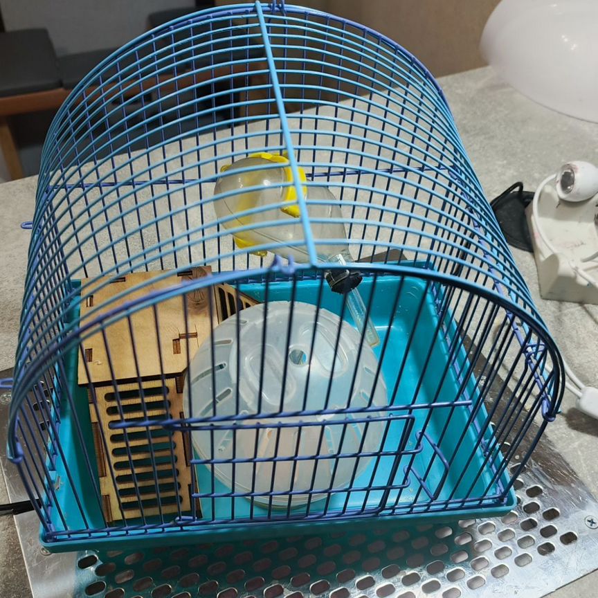 Клетка для джунгарского хомяка