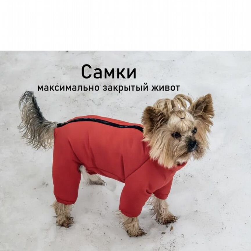 Комбинезон для самки собаки весна-осень
