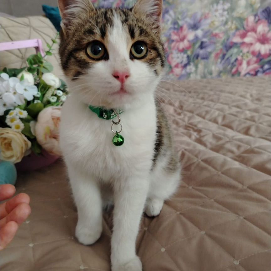 Мальчик Левушка 3,5 месяца