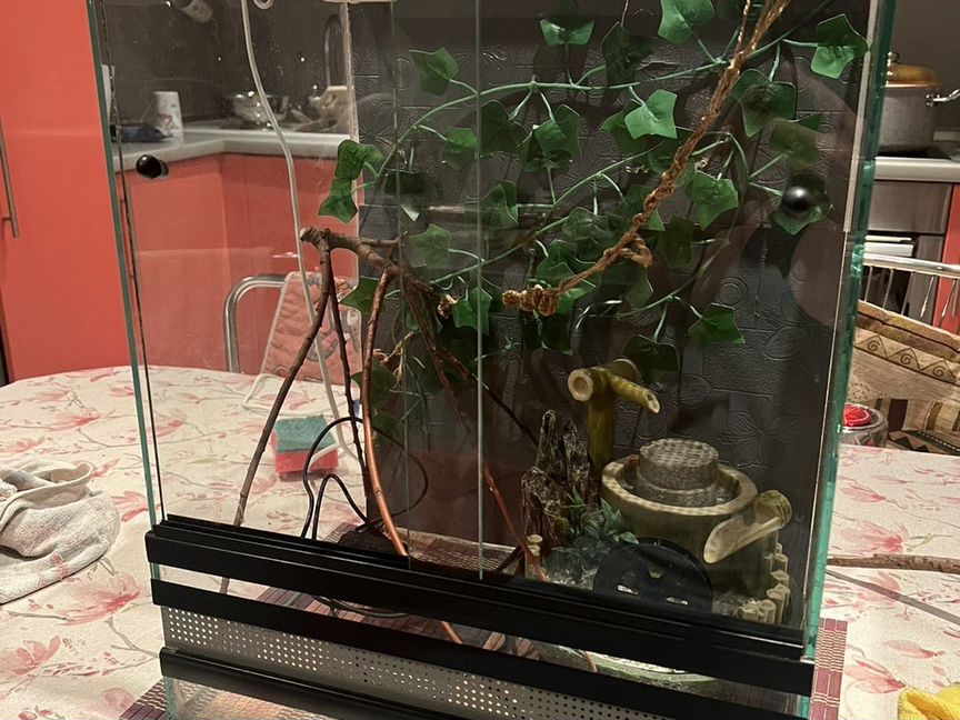 Террариум для хамелеона