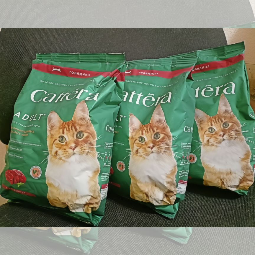 Корм для кошек Cattera
