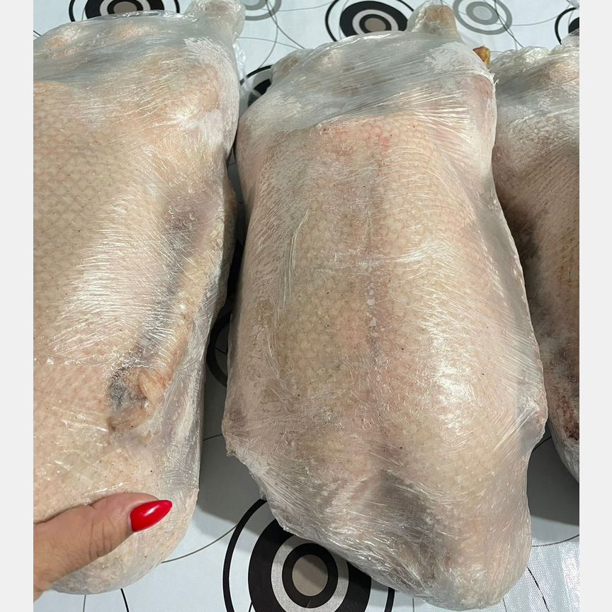 Новогодний гусь